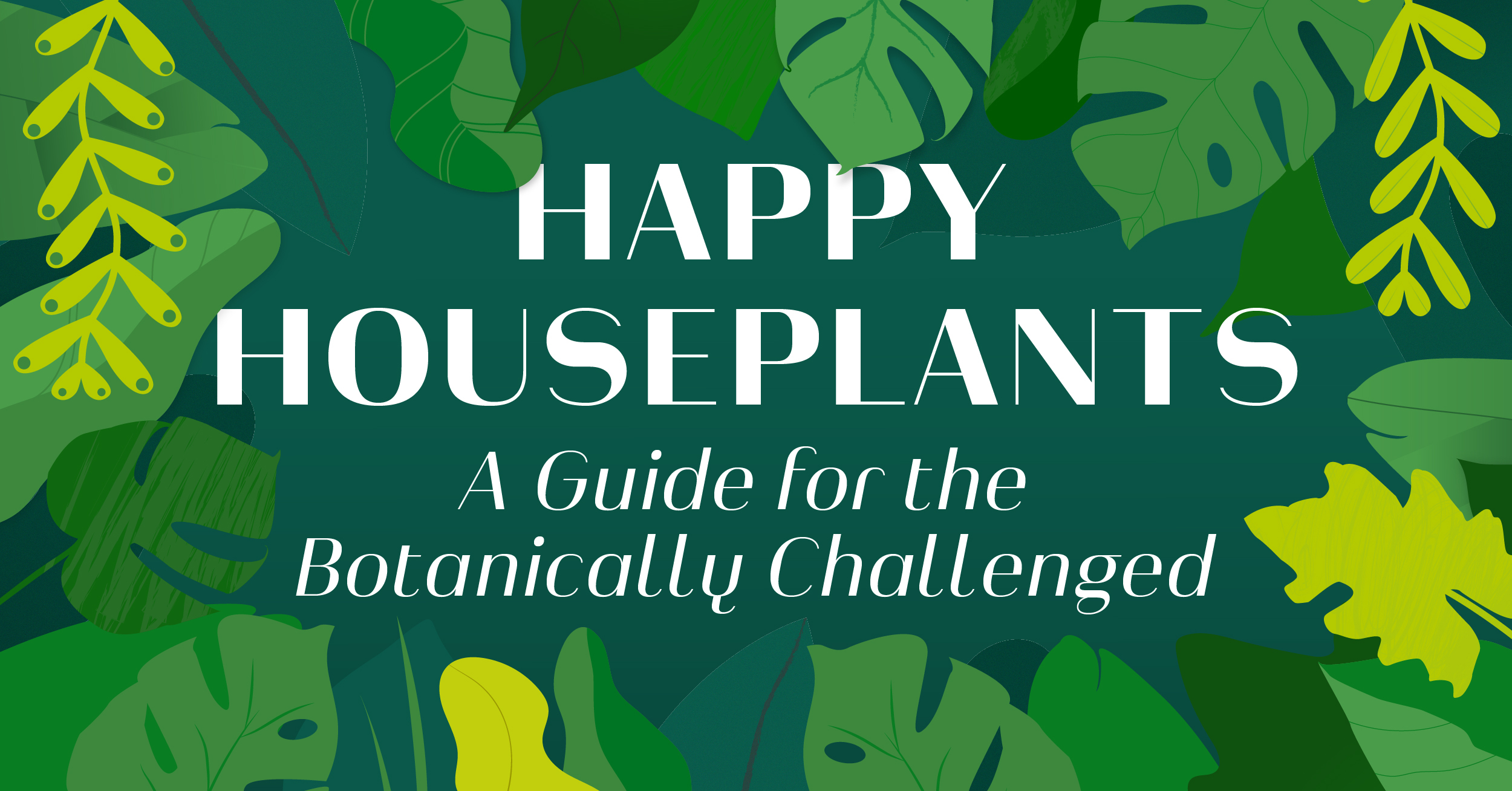 Your Guide to Happy Houseplants Infographic | Lemonly